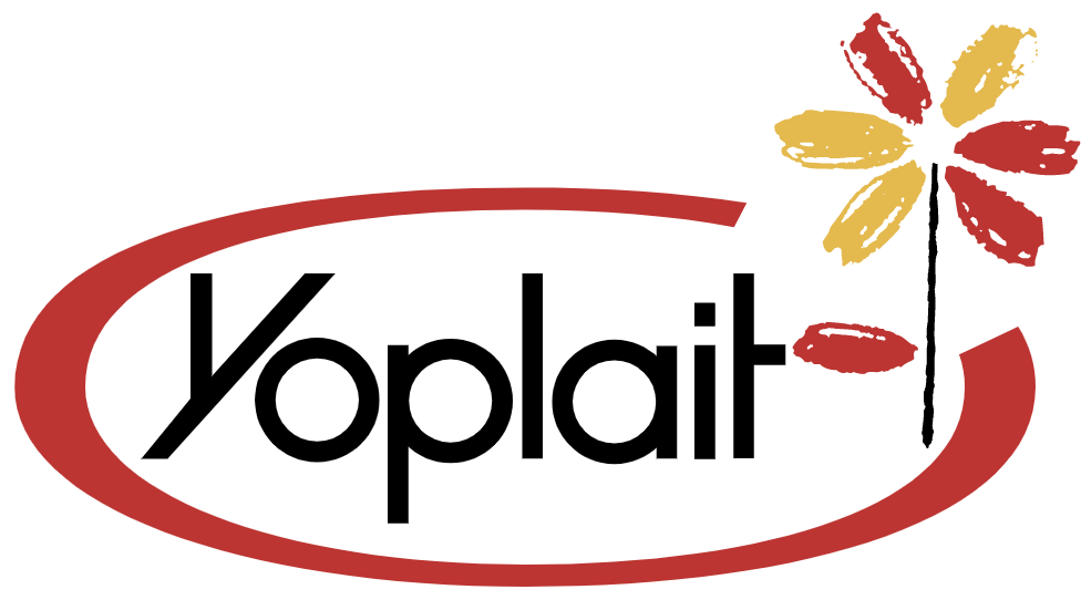 Team Collaboration & Best Practices | Wegrow